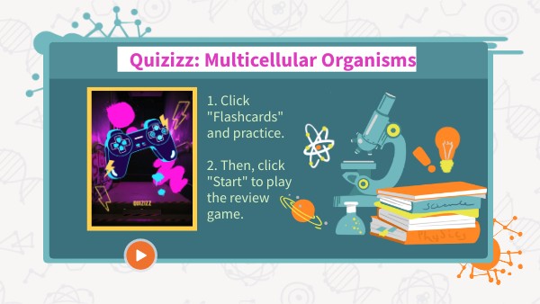 Quizizz: Multicellular Organism
