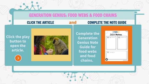 Topic 12 Gen G Food Chains & Food Webs | Genially