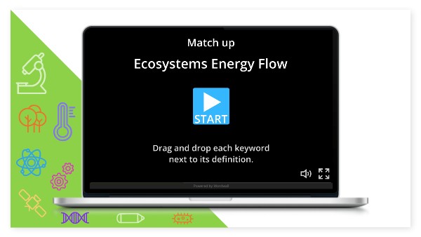 Word Wall: Ecosystems Energy Flow | Genially