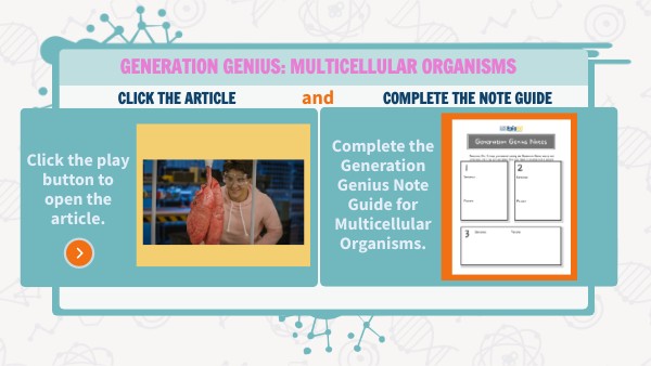 Topic 14 Multicellular Organism | Genially
