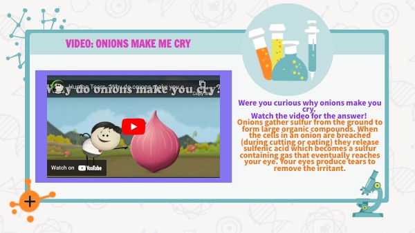 Topic 3: Onions Make Me Cry | Genially