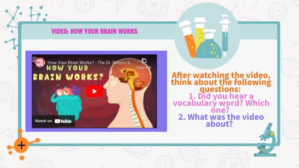 Topic 16: How Your Brian Works
