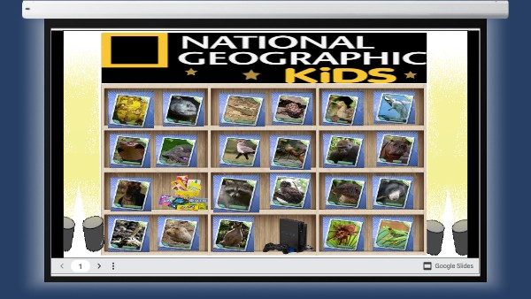 Video Library: Animals