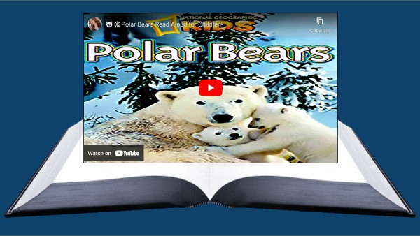 Read Aloud: Polar Bears (20)