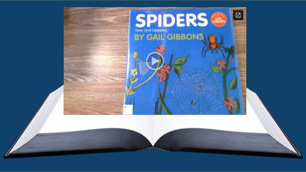 10.2 Spiders- READ ALOUD (NOT GUEST) | Genially