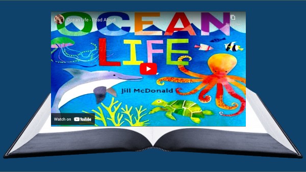 READ ALOUD: Ocean Life | Genially