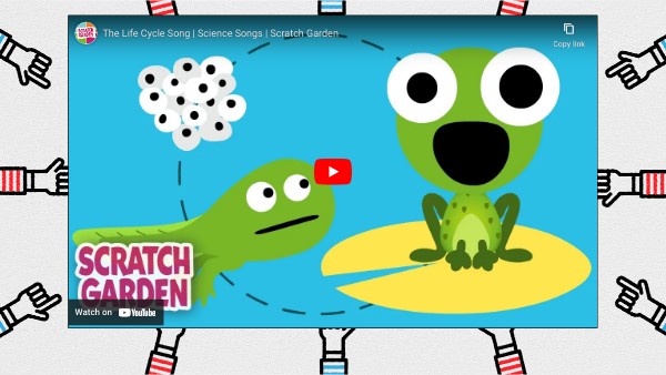 life cycle song (28)