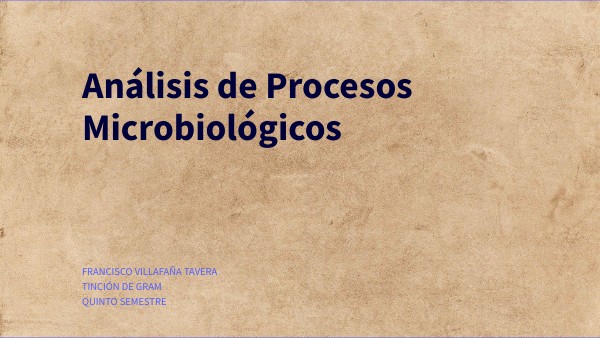 TINCIÓN DE GRAM | Genially