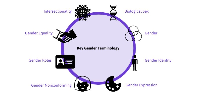 Key Gender Terminology | Genially