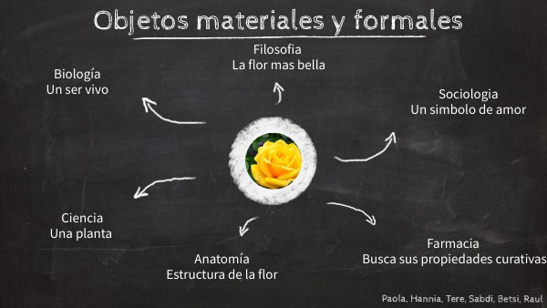 Objetos materiales y formales