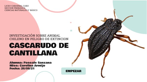 Cascarudo de Cantillana | Genially