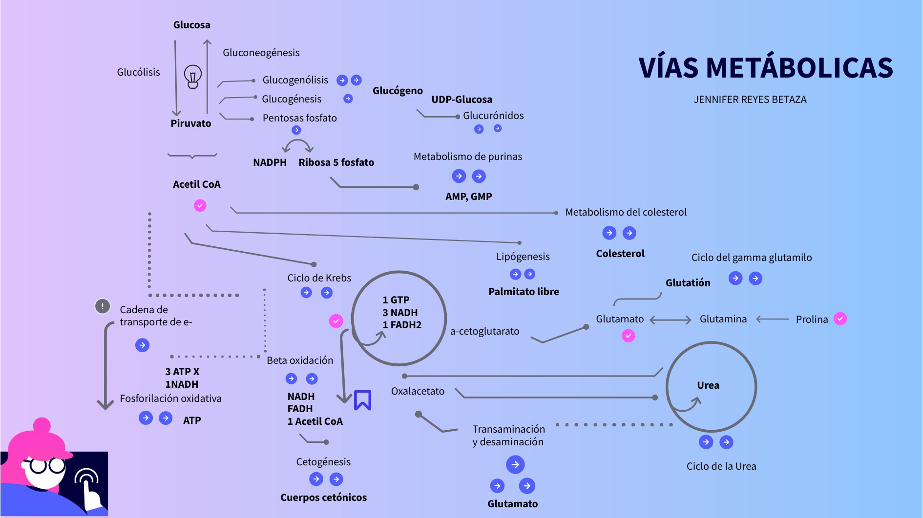 MAPA DE VÍAS METABOLICAS | Genially