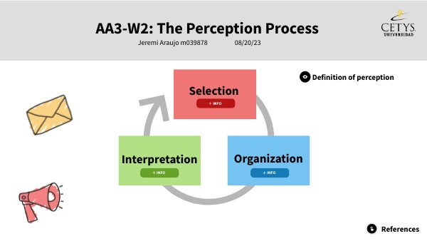 AA3-W2: The Perception Process.