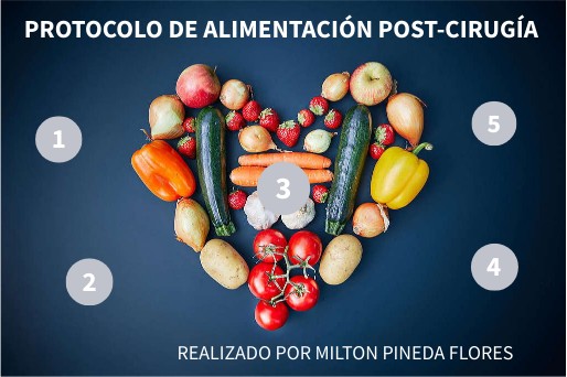 Protocolo de alimentación