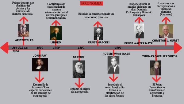 Linea del tiempo | Genially