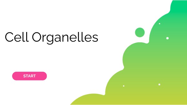 Cell Organelles
