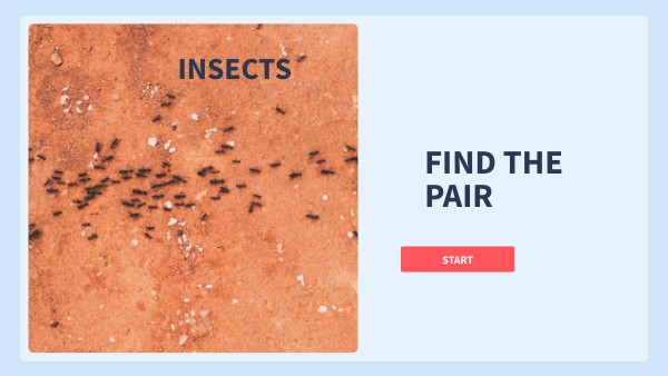 FIND THE PAIR | Genially