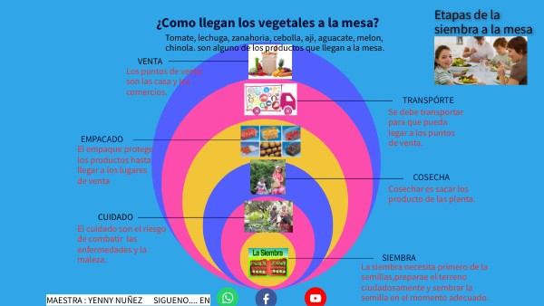DIAGRAMA CEBOLLA | Genially