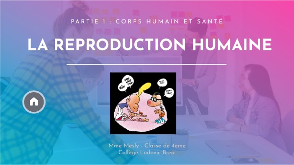 Reproduction humaine 1 | Genially