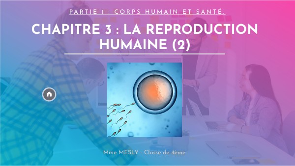 la repro humaine partie 2 | Genially