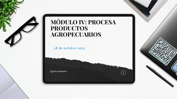 PRESENTACIÓN MODULO 4-3P