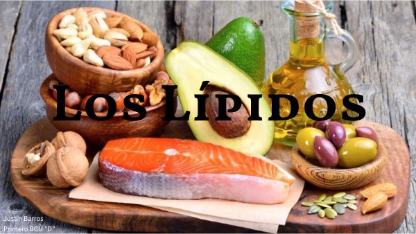 Los Lipidos | Genially