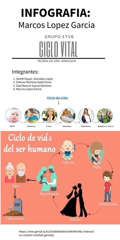 Ciclos de la vida. | Genially