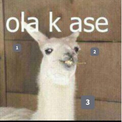 Imagen interactiva llama | Genially