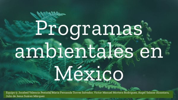 PROGRAMAS AMBIENTALES
