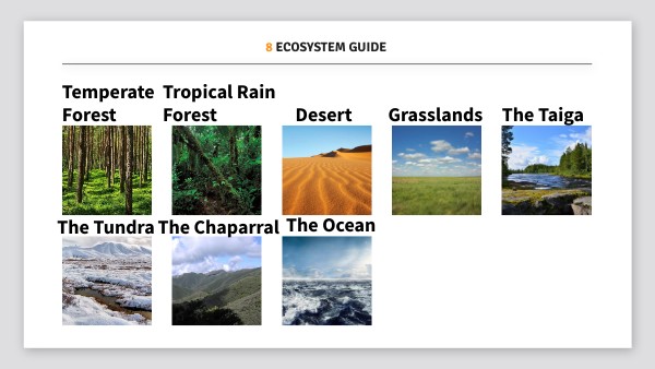 8 Ecosystem Guide