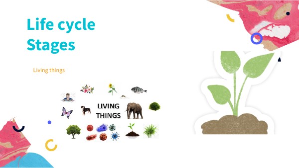 The cycle vital of living things | Genially