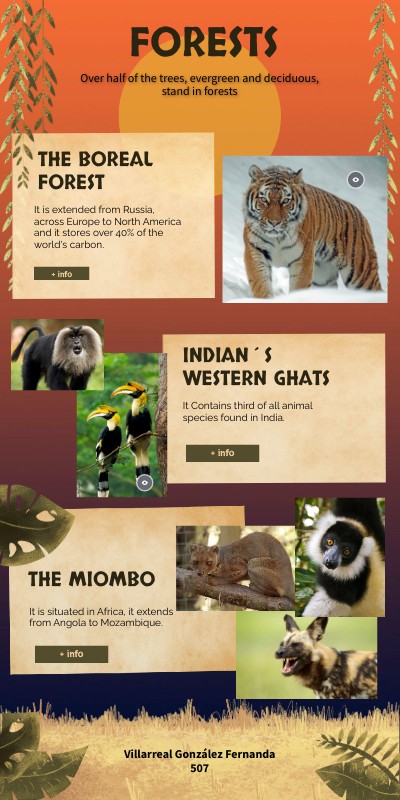 507_Villarreal González Fernanda | Genially