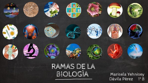 RAMAS DE LA BIOLOGÍA | Genially