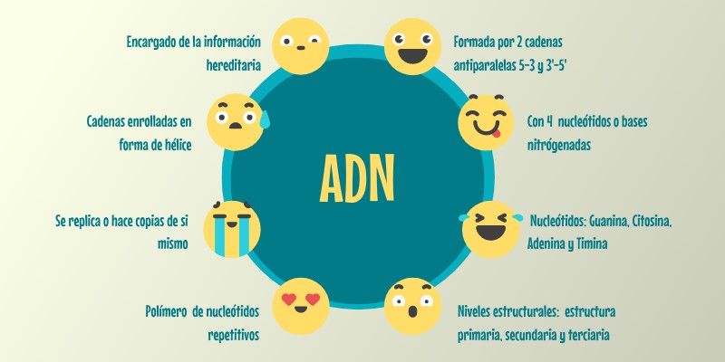 ADN y RNA (Dos actores con presencia en la vida)