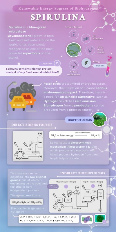Spirulina | BioChemistry Collab Project