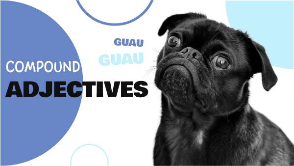 B1 P. 370 COMPOUND ADJ.