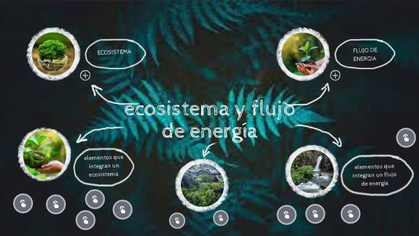 2.1 Ecosistema y Flujo de energía | Genially