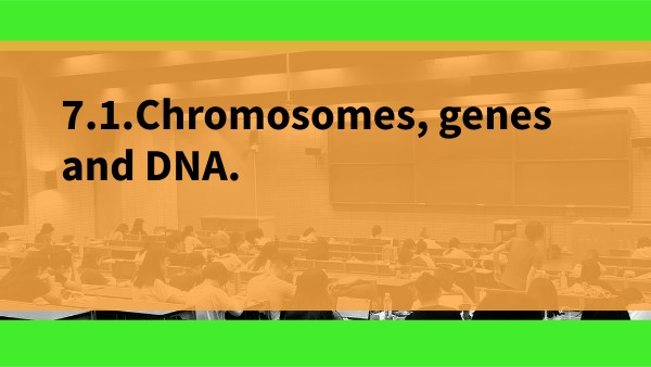 7.1 Chromosomes, genes and Dna | Genially