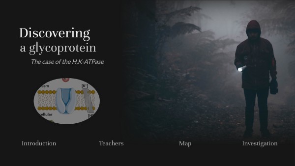 Discovering a GP | Genially