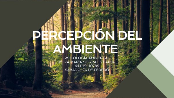 PRESENTACIÓN PROYECTO DIAGONAL