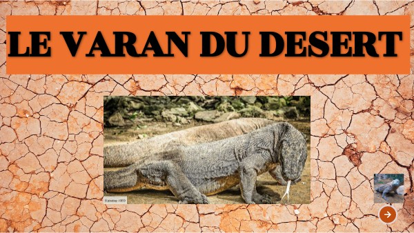exposé varan du désert | Genially