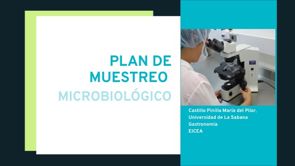 PLAN DE MUESTREO | Genially