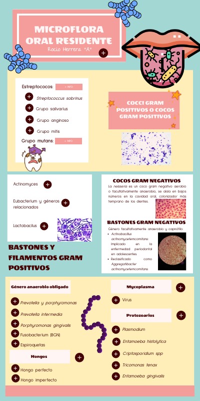 Microbiota oral | Genially