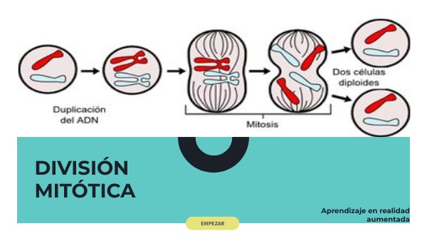 DIVISIÓN MITÓTICA 3D | Genially