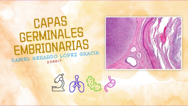 Capas Germinales Embrionarias | Genially