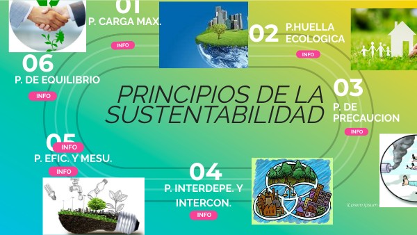 Principios de la sustentabilidad | Genially
