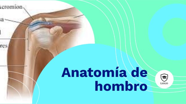 Anatomía de hombro | Genially