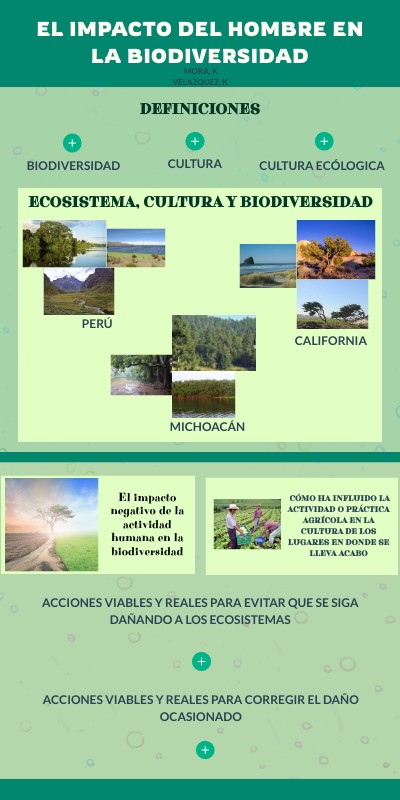 EL IMPACTO DEL HOMBRE EN LA BIODIVERSIDAD | Genially