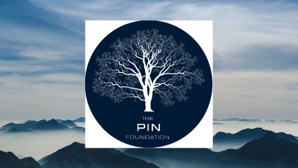 The PIN Foundation Presentation