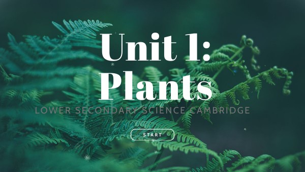 Unit 1: Plants